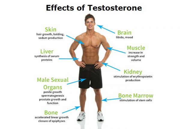 Testosterone Deficiency in Men - The Public Health Impact | Low ...